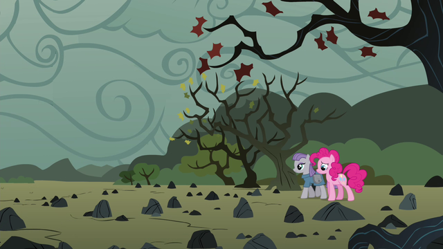 File:Pinkie and Maud reach the rock farm S4E18.png - 小马中文维基 | MLP中文维基 ...
